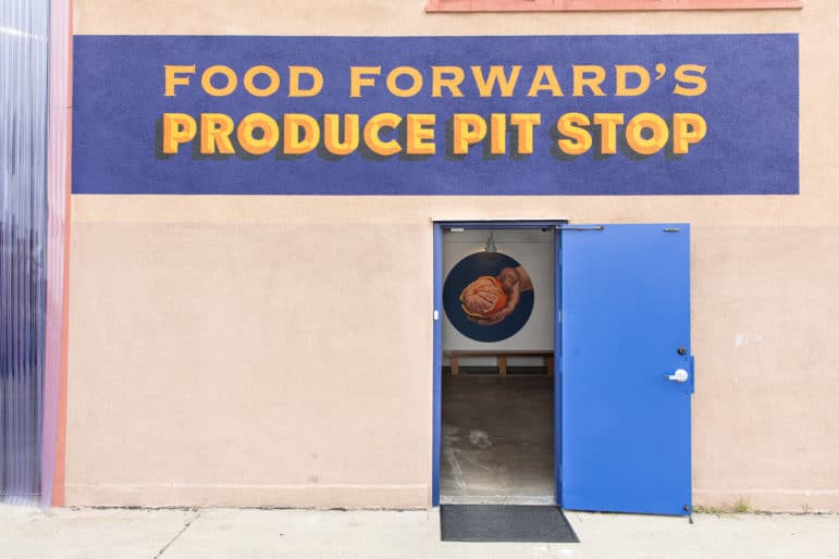 Contact Us - Food Forward