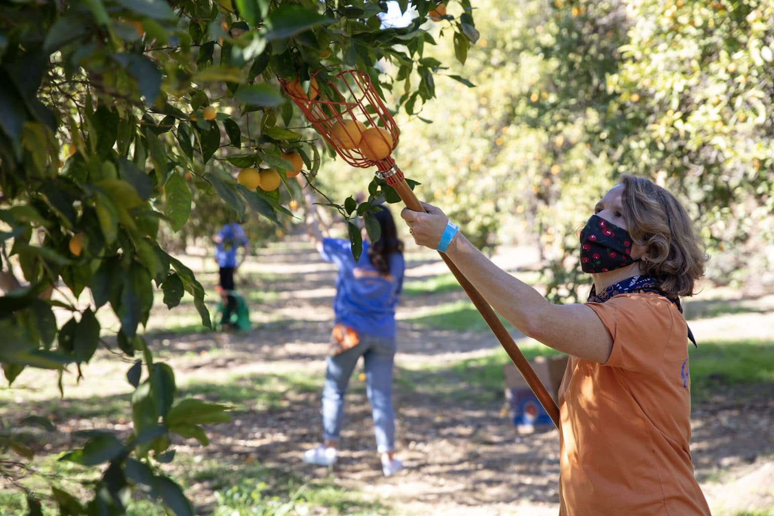 Food Recovery Resources - Food Forward