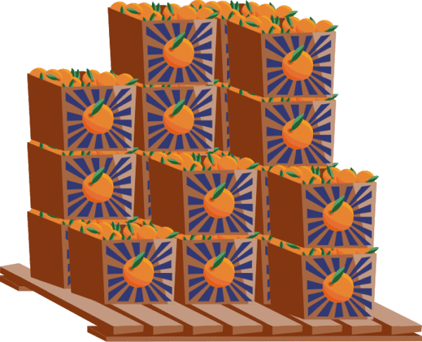 Annual Impact Report 2021 - Food Forward