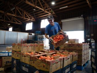 Who We Are - Food Forward