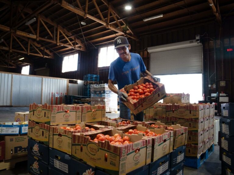 Who We Are - Food Forward