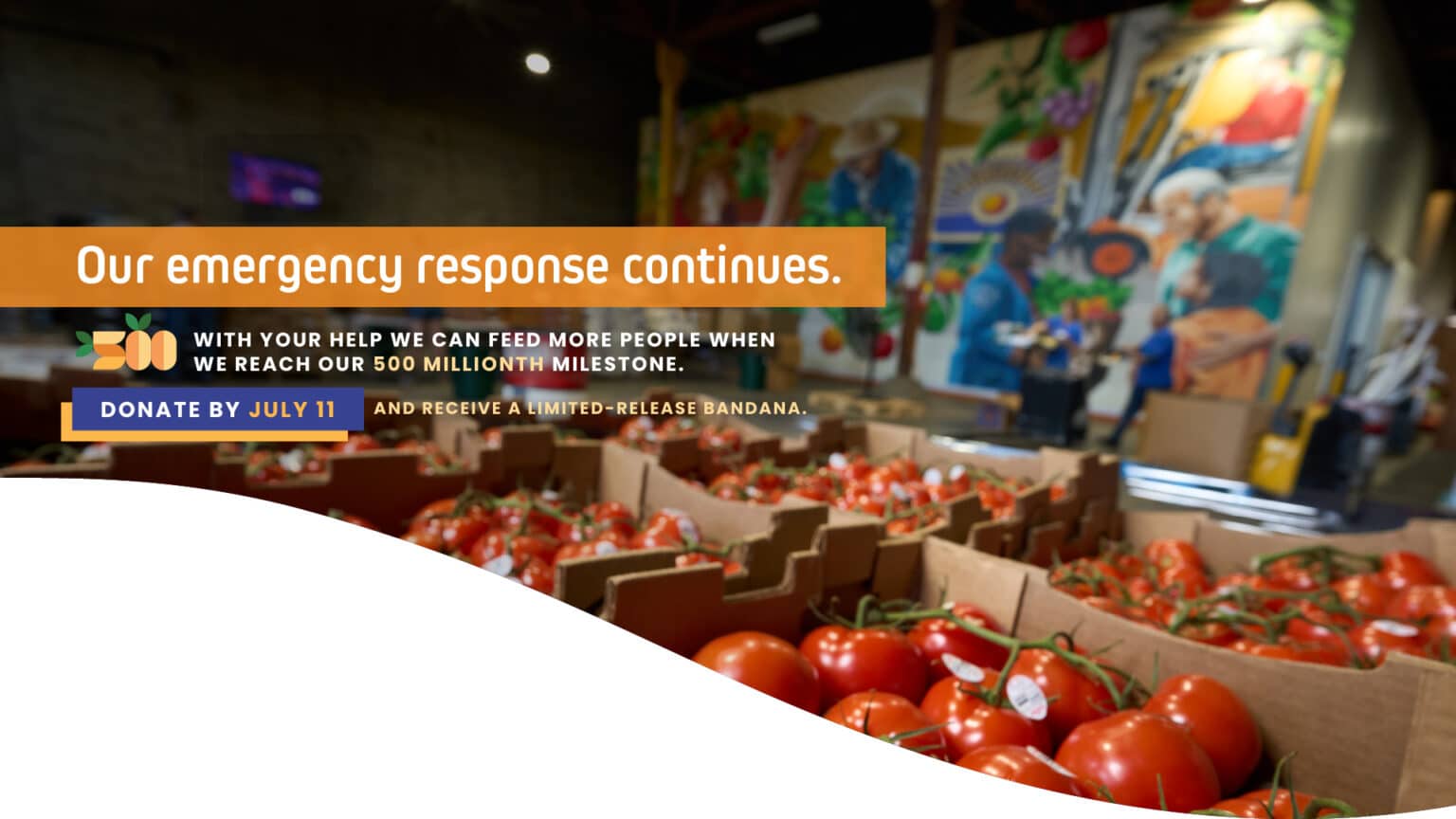 Home - Food Forward